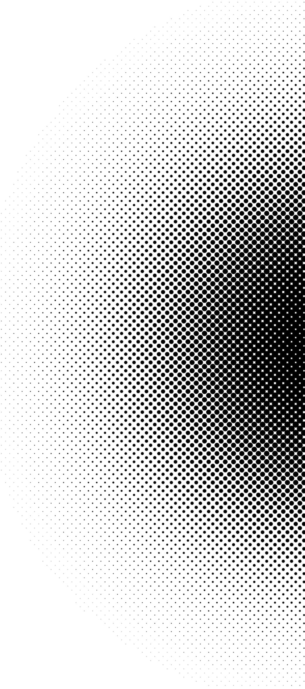 Groothandel marktplaats B2B | Trademart Brussels | NL